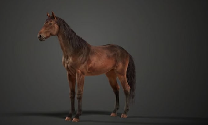 Sculpt realistic 3d animal, cgi animal animation, 3d creature, pet ...