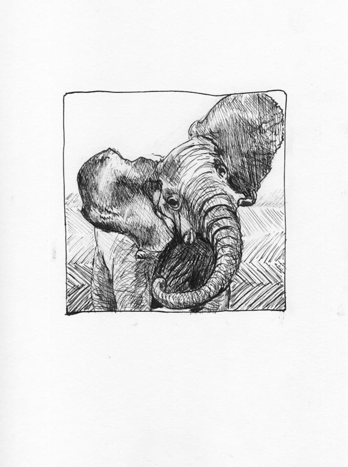 Draw you a pen and ink drawing of your favorite animal by Marielme | Fiverr