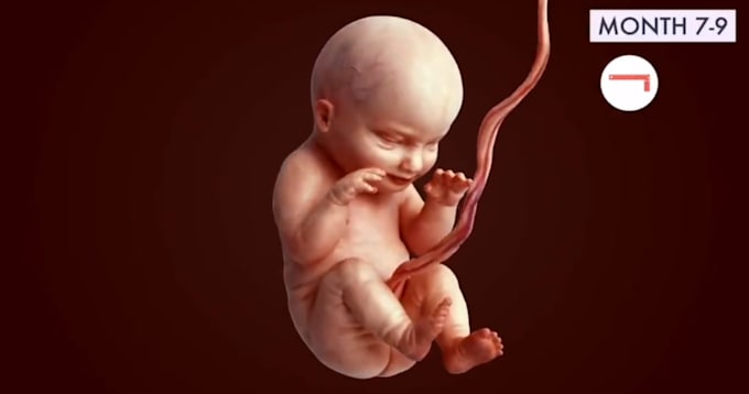 3d medical animation, 3d medical device animation, surgical device ...