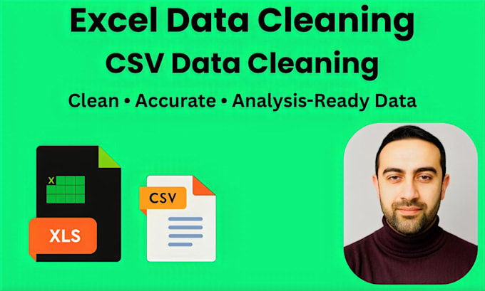 Clean, format, and organize your excel or csv data professionally by ...