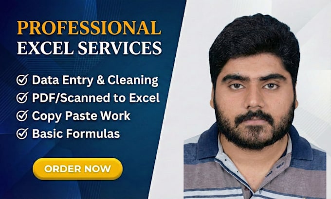 Do fast excel data entry, data formatting, data cleaning by ...
