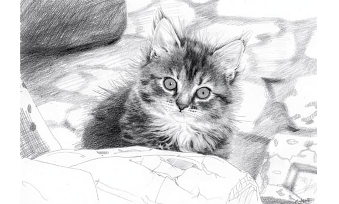 Sketch realistic portrait and drawings with pencil by Junaid_mughal1 ...