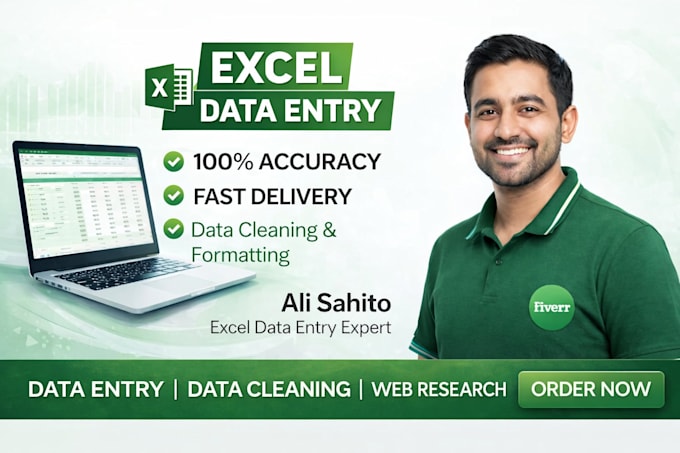 Do fast and accurate excel data entry and data cleaning by ...