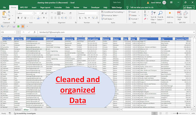 Professionally clean, format, and organize your excel data by ...
