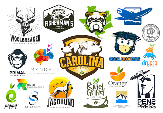 Design 2d or 3d cartoon logo by Logoshane | Fiverr