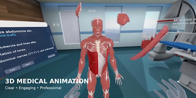 Crear animación médica en 3d, explicador de anatomía y video de ...