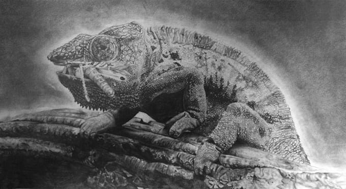 Hand draw you spectacular images by Bnjacko | Fiverr