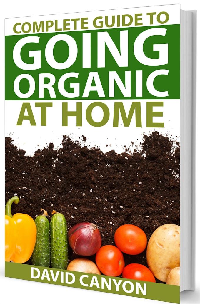 Convert 2 book covers to 3d book covers by Arcadetoystore | Fiverr