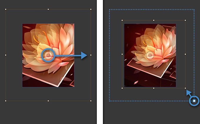 Resize images to keep the aspect ratio by Rokan_nashp | Fiverr