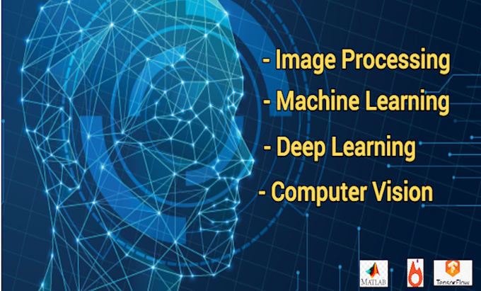 Do medical image and signal processing in matlab by Engr_mujeeb10 | Fiverr