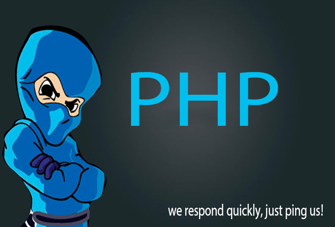 Fix And Write Htmlcss Php And Codeigniter Code By Spicyscript Fiverr