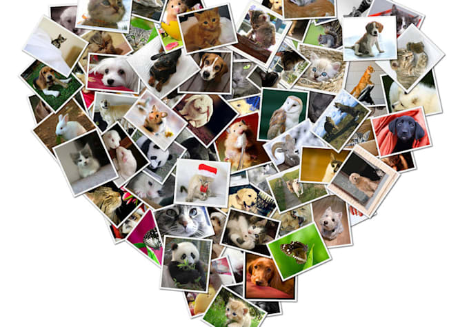 Create a very clean looking collage for your portfolio by ...