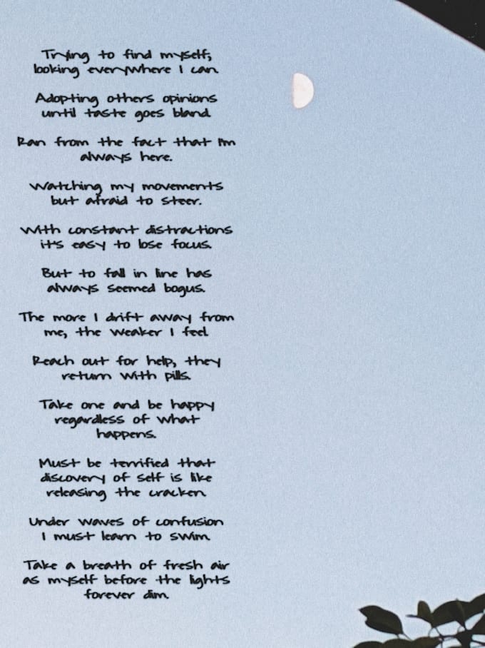 Write a 8 to 12 line poem any topic by Kd210texas | Fiverr