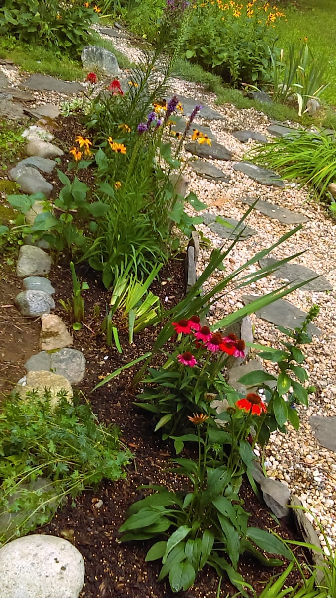 Hand draw you a basic permaculture landscape design by Flora_and_fauna ...