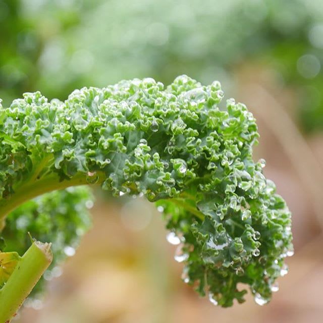 Take 4k hd videos or photos for any need by Josh_vr | Fiverr