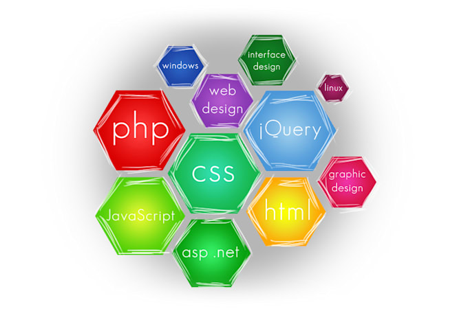 Develop a website using html, css, php for you by Sumaira_majeed | Fiverr