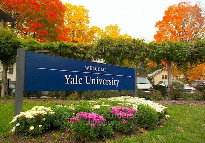 Take a picture with your logo in front of beautiful yale university by ...