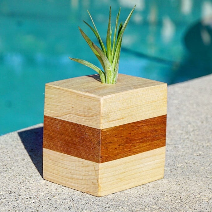 Build you an air plant in a repurposed wood block by Solidwoodworks ...