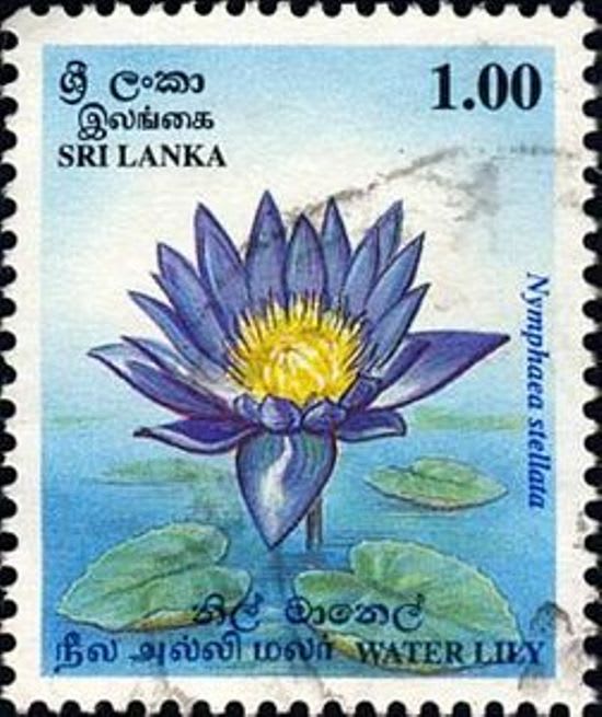 Supply old sri lankan stamps by Crashrayburner1 | Fiverr
