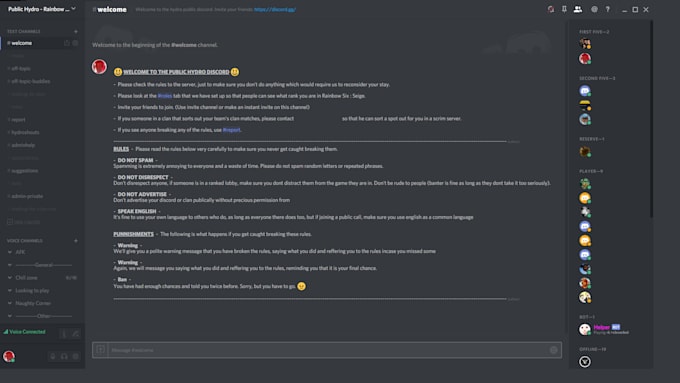 Set up a fully custom discord server by Thechapster | Fiverr