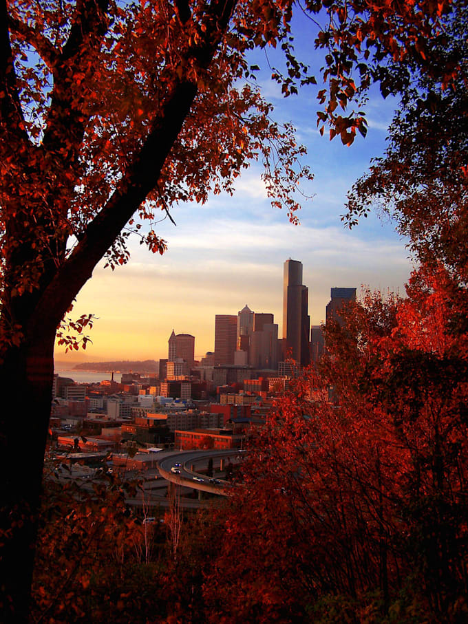 Turn your photo into comic book art by Photoncomics | Fiverr