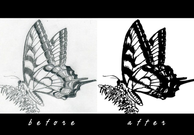 Make your drawing or photograph into a graphic design by Marmelade6 ...