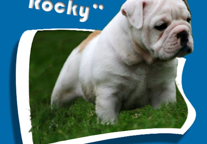 Make your pics look like its popping out of frame by Picturepop | Fiverr