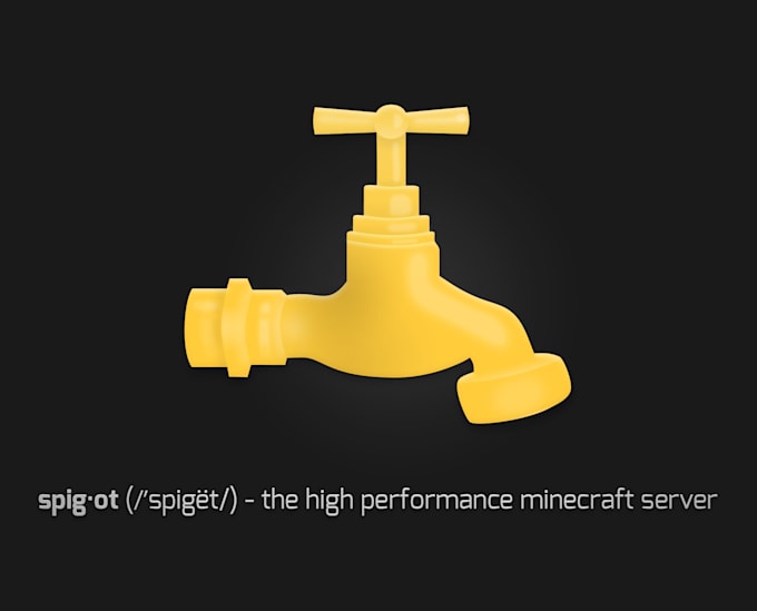 Set up a spigot server for you of any version by Computercandy | Fiverr