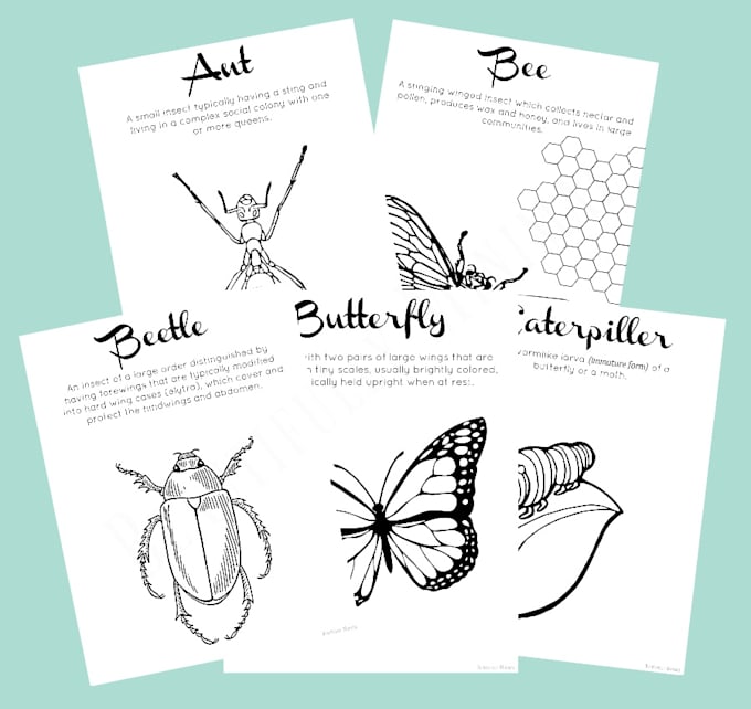 Send you 10 printable educational coloring pages for kids by Lanaart ...