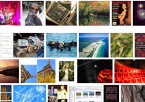 Collect random images from the internet by Chan4chan | Fiverr
