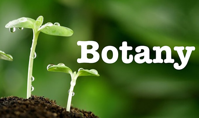 Make zoology botany microbiology genetics key points for you by ...