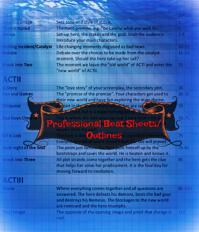 Create a complete beat sheet for a new script idea by Nicoleden | Fiverr