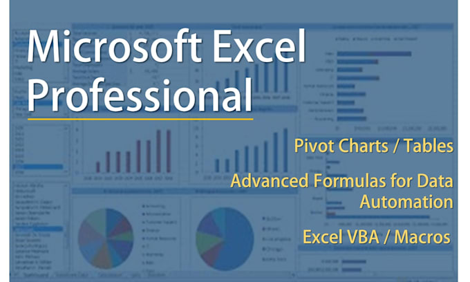Create, redesign professional microsoft excel spreadsheet by Petroy ...