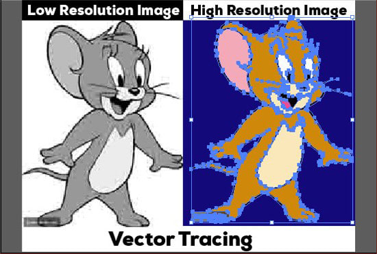 Vector tracing only vector tracing work by Rokshan22 | Fiverr
