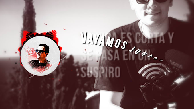 Create professional audio spectrum plus lyrics by Evproductions_ | Fiverr