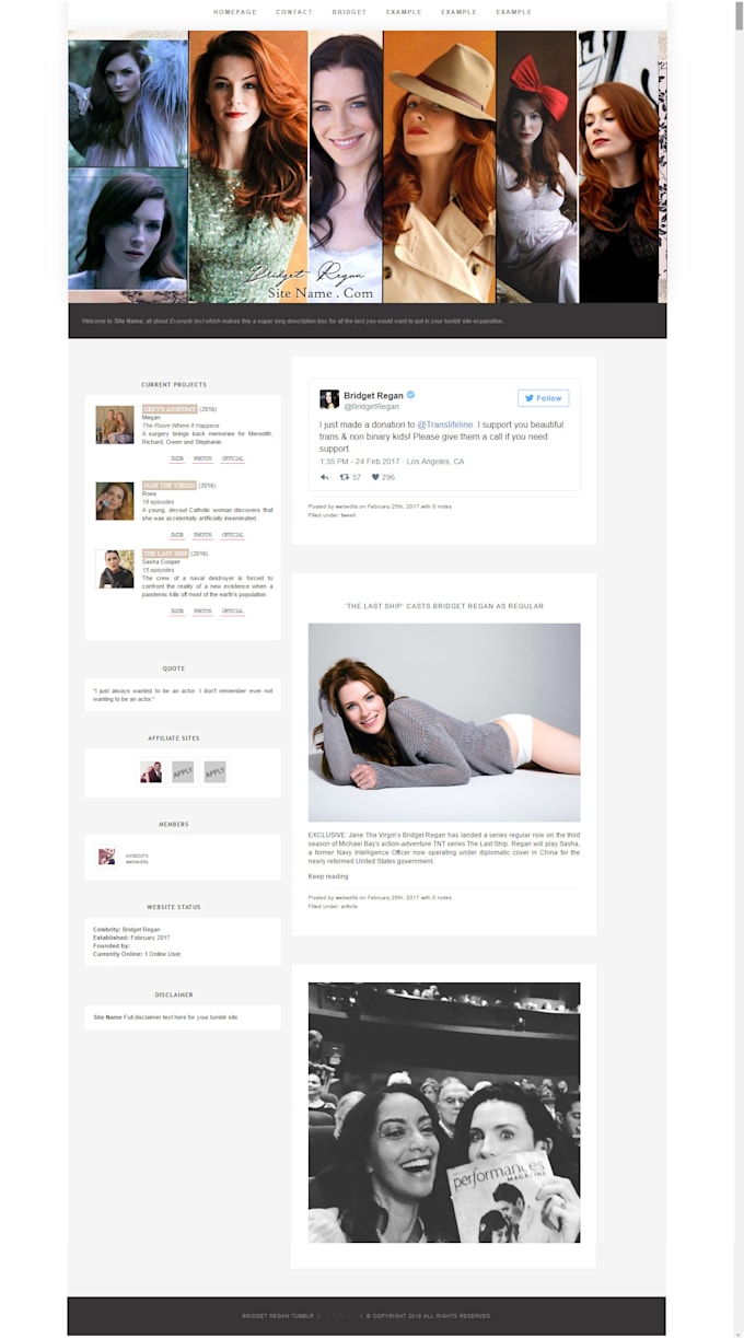 Create a custom tumblr theme by Webedits | Fiverr