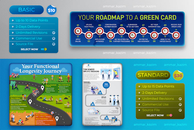 Design professional unique infographic, roadmap, flowchart by Ammar ...