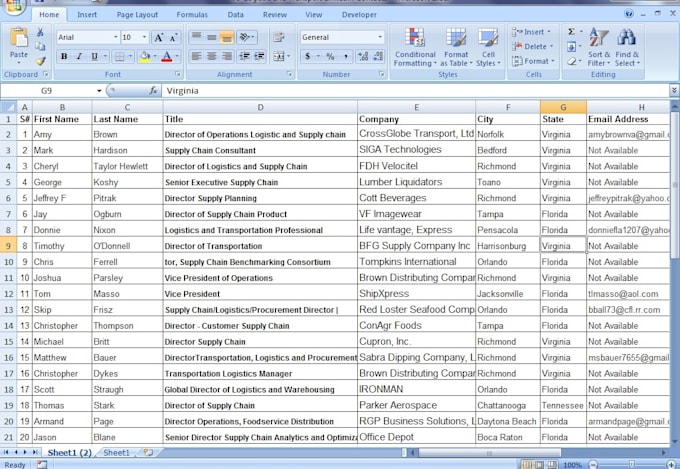 Be virtual assistant for data entry into excel spreadsheet or csv file ...