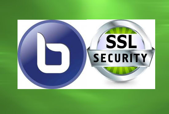 Install ssl certificate and configure https on bbb server by Techdhruva ...