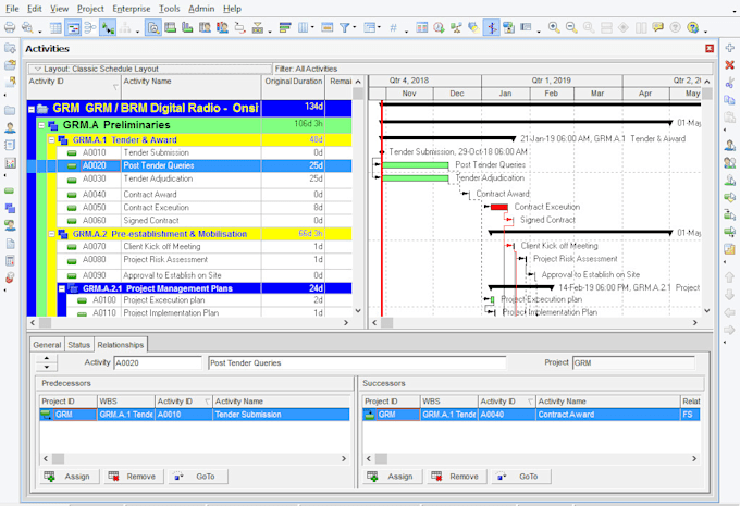 Assist you in project management using primavera p6 and ms project by ...