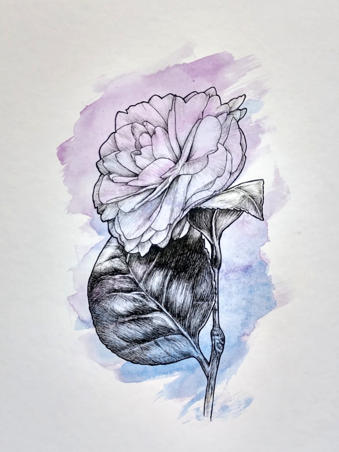Design a gorgeous botanical pen and ink illustration by Avanekdesign ...