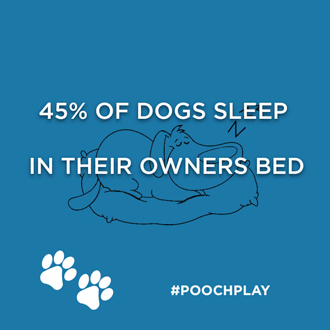 Flyers, posters, social media content by Mathildejl | Fiverr