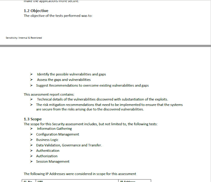Provide Software Security Penetration Testing Report By Netfiv Fiverr