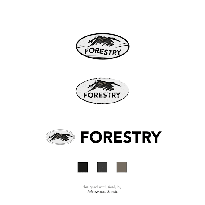 Create a brilliant and functional logo in 2 days by Ajisasfiar | Fiverr