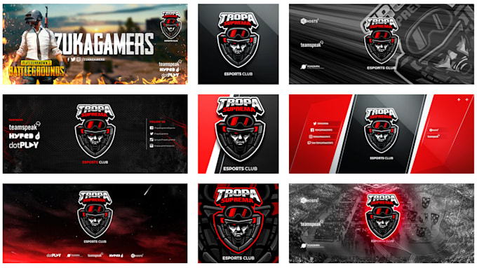 Stream overlay, banner, logo and wallpapers by Evox1986 | Fiverr