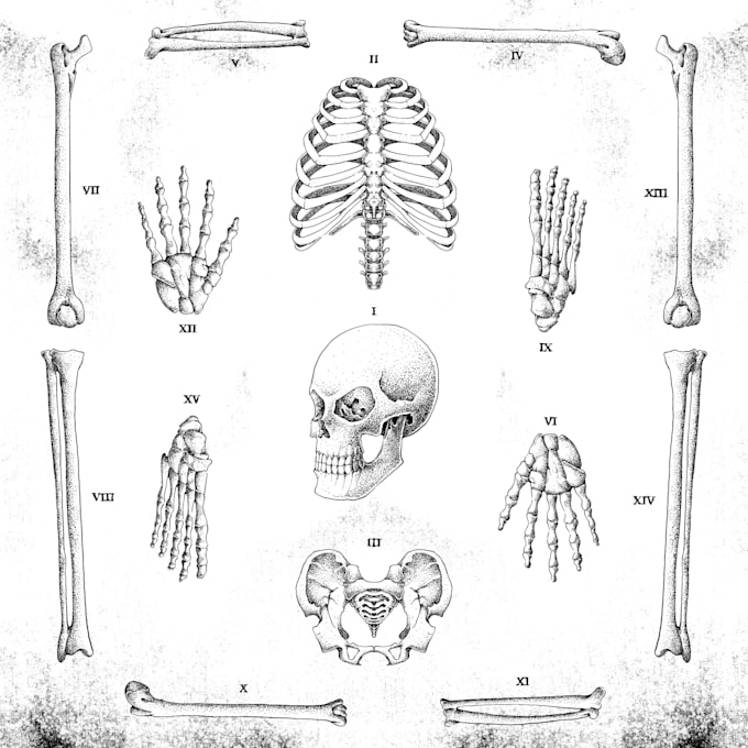 Make a dark art logo by Cardinalproject | Fiverr