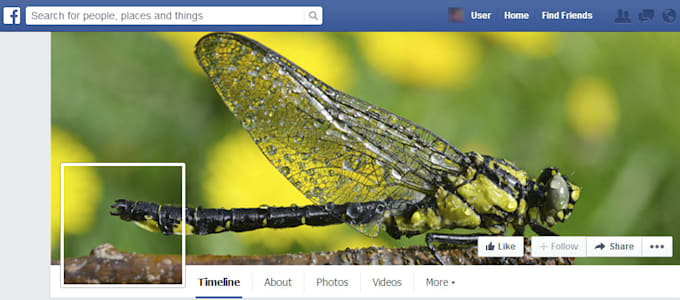 Design an eye catching facebook cover and profile photo by Ecreatives ...