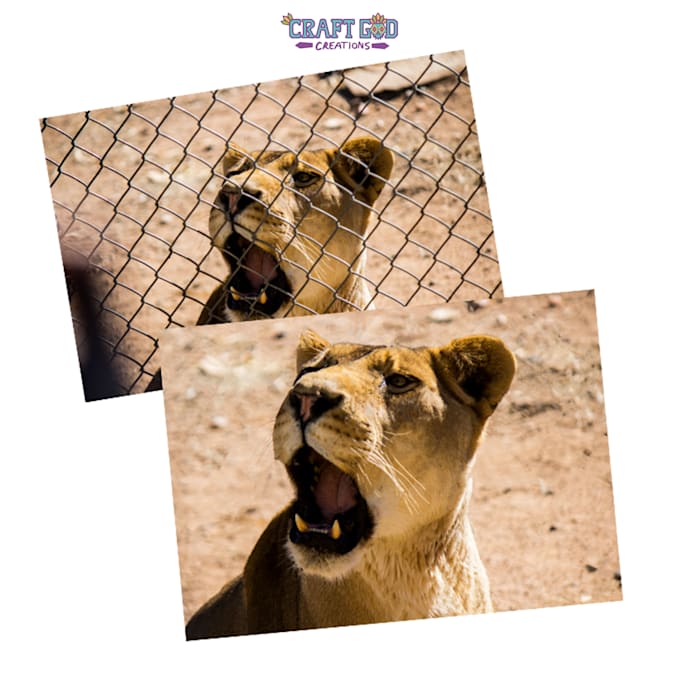 Edit an existing photo by Craftgodcreates | Fiverr