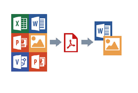 Convert pdf into microsoft word,excel and powerpoint by Rida_akbar | Fiverr