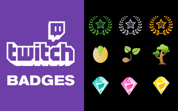 Create custom sub badges for twitch by Kopechka | Fiverr